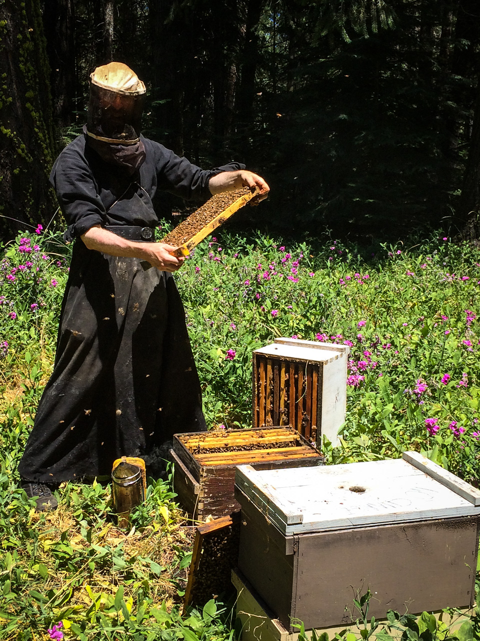 A Quick Update before Alaska – The North American Thebaid